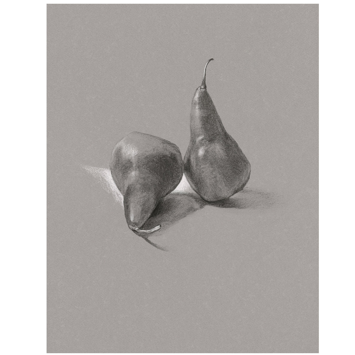 Rachelle Dusting - 'Pair of Pairs I' Charcoal on Archival Paper (rdu01 ...