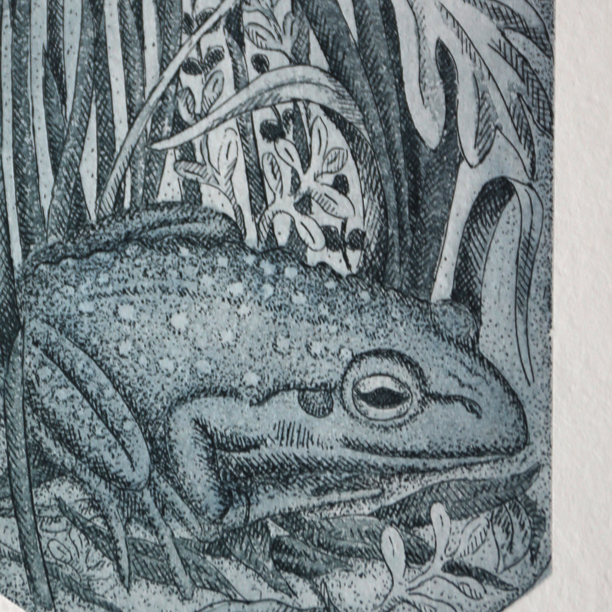 Kati Thamo - 'Wildlife Preserve - Frog' 8/25, Etching (kth041 ...